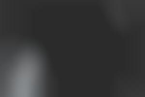 Risque Transformed Geisha Shoots : W March 2013