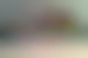 Cult Cartoon High Tops : Cartoon Inspired High Tops