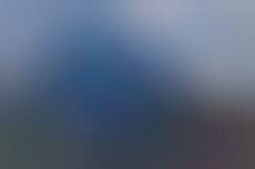 Shoe Box Structures : adidas Originals Popup Shop