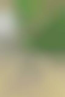 Balancing Hollow Stools : Tumble Seed