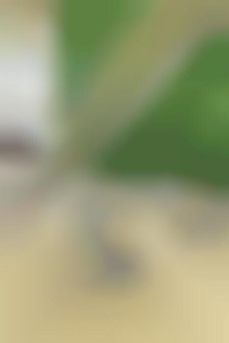 Balancing Hollow Stools : Tumble Seed