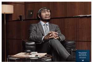 Basic Instinct Investment Ads : wealth management ad