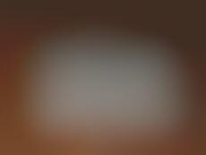 Resume-Wrapped Candy Bars : bar resume