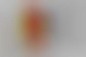 Edible Gelatinous Dopplegangers : Gummy Human