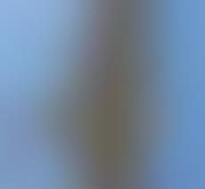 Spiraling Human Structure : Do Hu Suh Karma