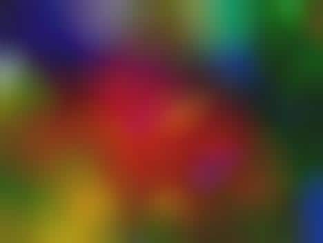 Polychromatic Floral Pictorials: Torkil Gudnason Redefined Nature with ...
