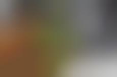 Bendable Lens Photography : Flexer Digital Camera