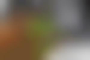 Bendable Lens Photography : Flexer Digital Camera