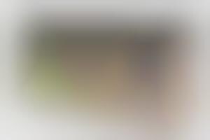 Organic Motif Merchandizing : Domaci Caj Tea Packaging