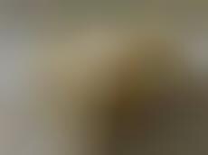 Grid-Like Wave Canopies : Lignum Pavilion