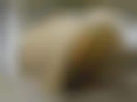 Grid-Like Wave Canopies : Lignum Pavilion