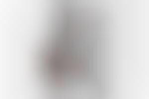 Handbag-Hanging Stools : Bronco Stool