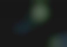 Prismatic Neon Illuminators : XiX Light