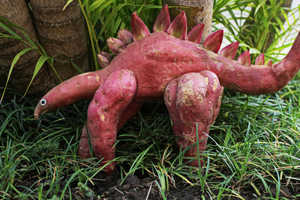 Edible Creature Sculptures : Playing With My Food