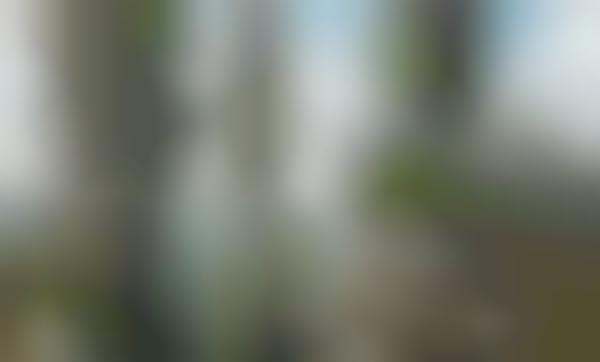 Multi-Story Urban Farms : Farmscrapers