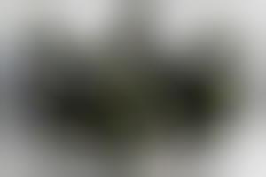 Explosive Toy Detonators : Toy Grenades