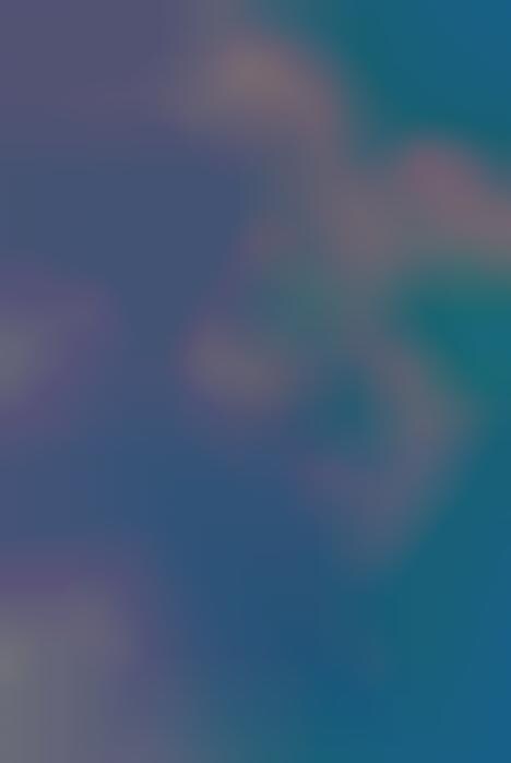 Asiatic Floral Portraits : Sayaka Maruyama