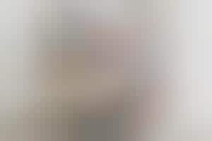 Shallow Box Bookshelves : Transit DIY Shelf