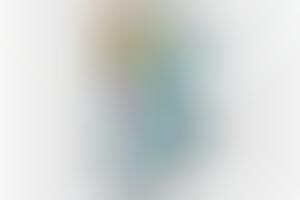 Scooter-Style Trollies : Short Distance Travel Shopping Cart