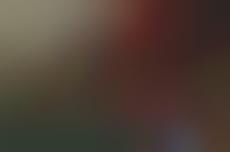 Disproportionate Self-Portraits : Paul Armstrong