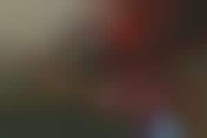 Disproportionate Self-Portraits : Paul Armstrong