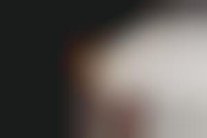 Old World Parisian Photography : Trevor Triano