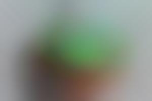 Paper Landscape Constructions : Paper Projects