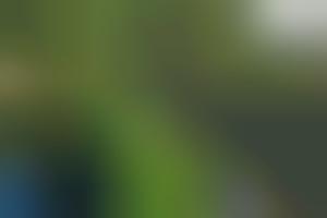 Electricity-Free Espresso Brewers : nomad espresso machine