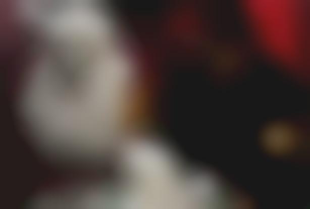 25 Human-Like Canine Fashions