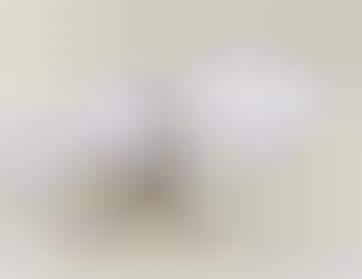 40 Strange Cosmetic Concepts