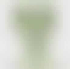 Flower Stem Speakers: Constant Garden