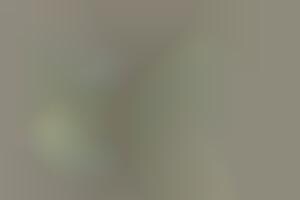 Skin Antennas: Wireless Connection for Medical Implants