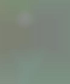 FREE Buzz 'Word of Mouth Manual' Download at TrendHunter.com: