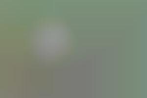 FREE Buzz 'Word of Mouth Manual' Download at TrendHunter.com: