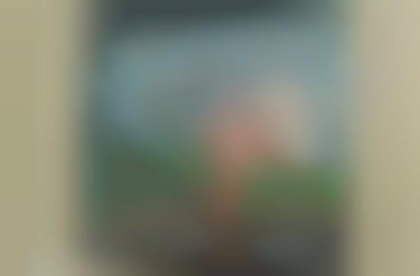 DIY Video Game Dioramas : video game dioramas