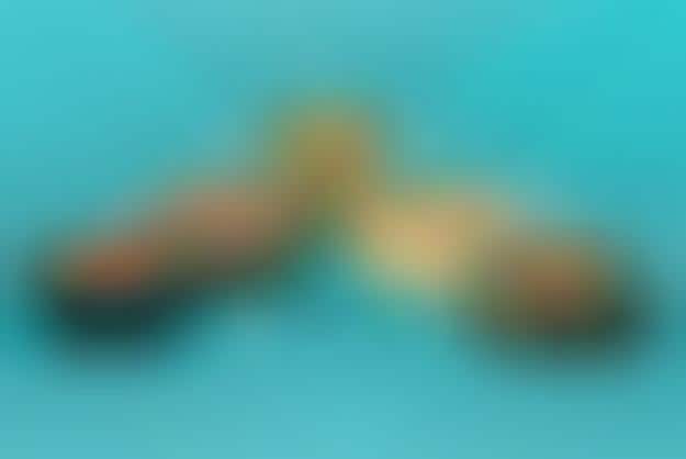 25 Musical Kitchenware Items