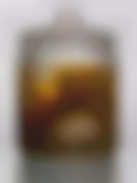 Contorted Cranium Photography : Alex Hannaford