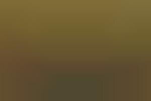 Symmetrical Library Hyperphotos : Bibliotheques Ideales