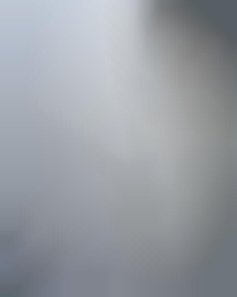 100 Artistically Intricate Structures