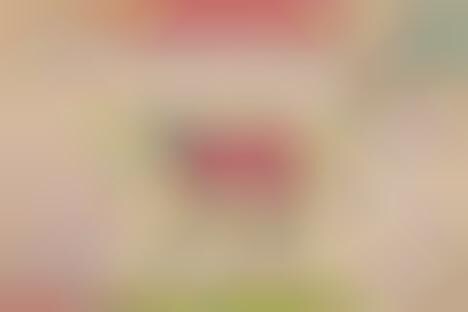 Red Meat Infographics : Red Meat Infographic