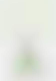 Botanical-Infused Typography : Novo Typo