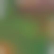 Artisitic Pop Culture Maps : pop culture maps