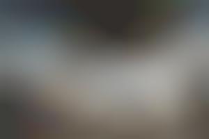 Colony-Building Robots : Driftbot