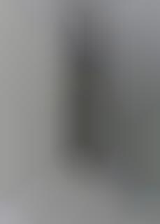 Radiator Light Fixtures : radiator light