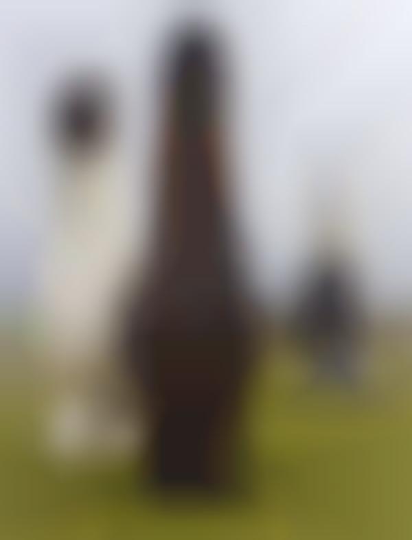 Ambiguous Creature Captures : Charles Fréger