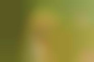 Bearded Biscuit Branding (UPDATE) : Caveman Cookies Packaging