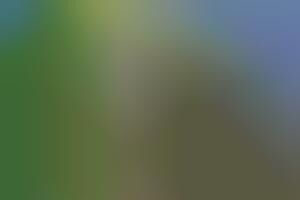 Plant-Powered Architecture : algae building