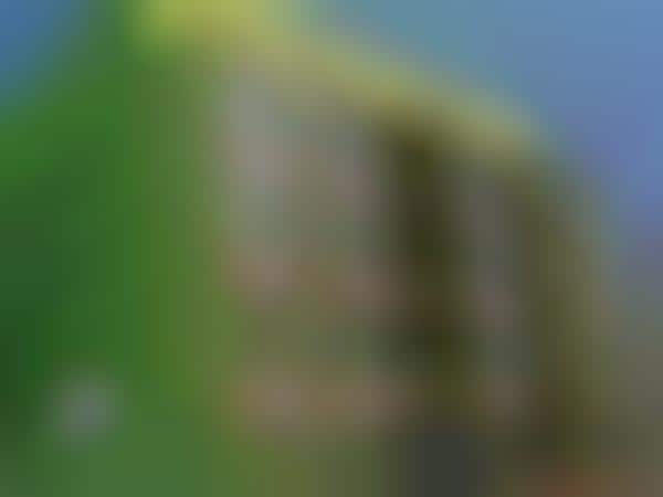 Plant-Powered Architecture : algae building