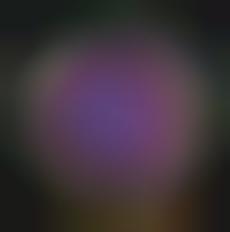 Reflective Bubble Closeups : Richard Heeks