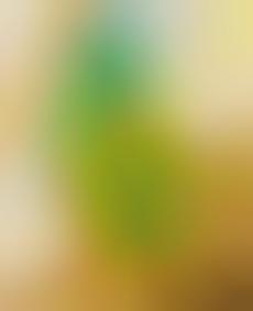 Double Helix Balloon Sculptures : double helix